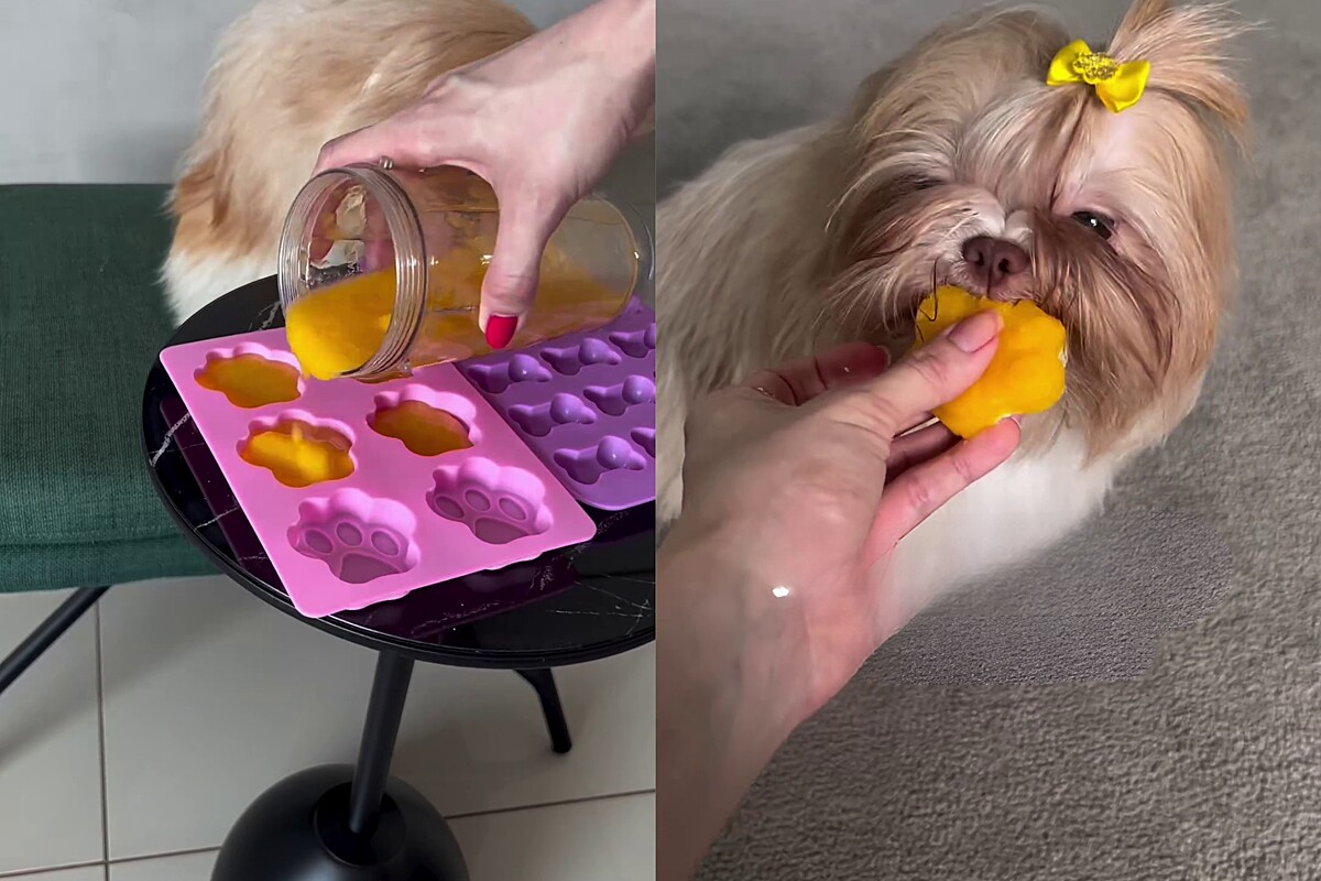 Petiscos tipo bala gelatinosa para seu pet - Seu cachorrinho vai amar